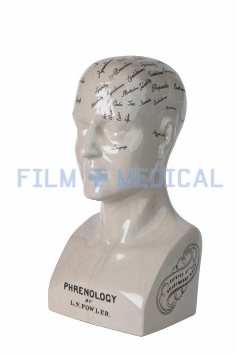 Phrenology Head | FILM MEDICAL