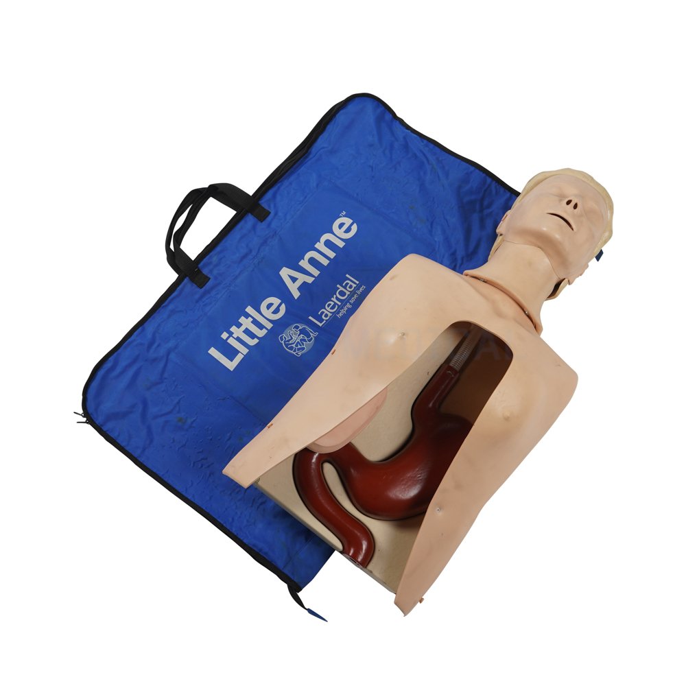 ‘Little Annie’ Resuscitation Model Showing organs | FILM MEDICAL