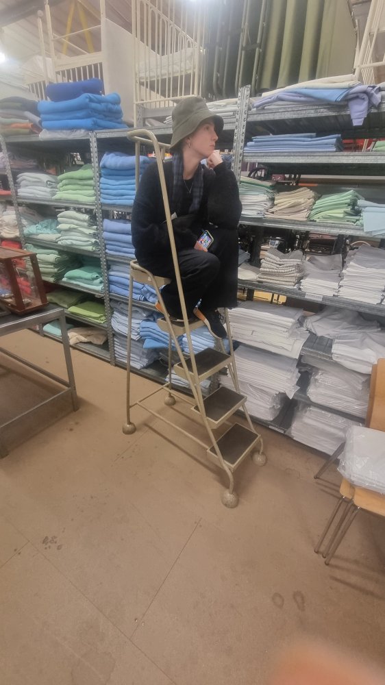 large ladder | FILM MEDICAL