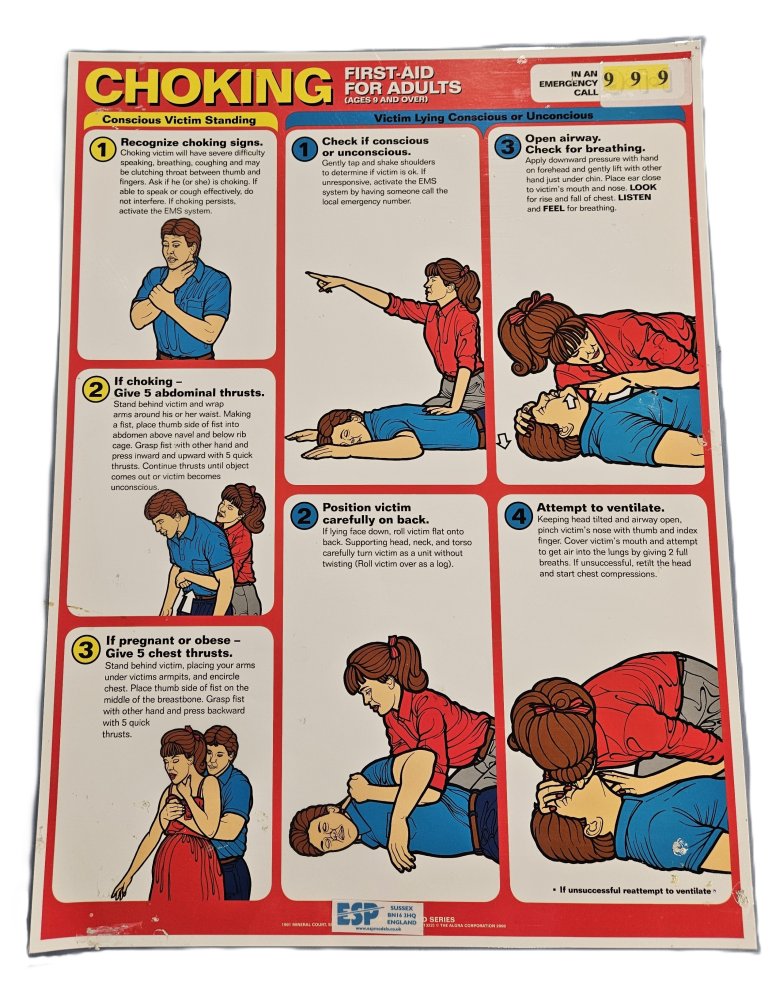 Laminated First Aid For Adults Poster | FILM MEDICAL