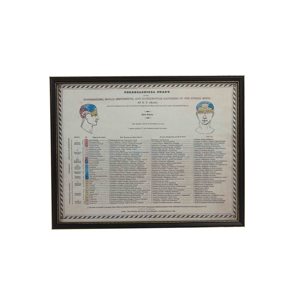 Phrenology Chart A3 | FILM MEDICAL