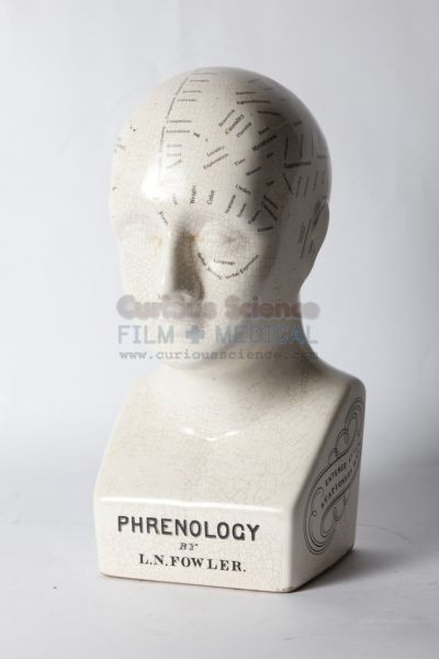 Phrenology model of head | FILM MEDICAL