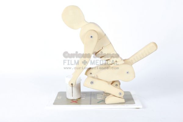 Lifting demonstration model | FILM MEDICAL