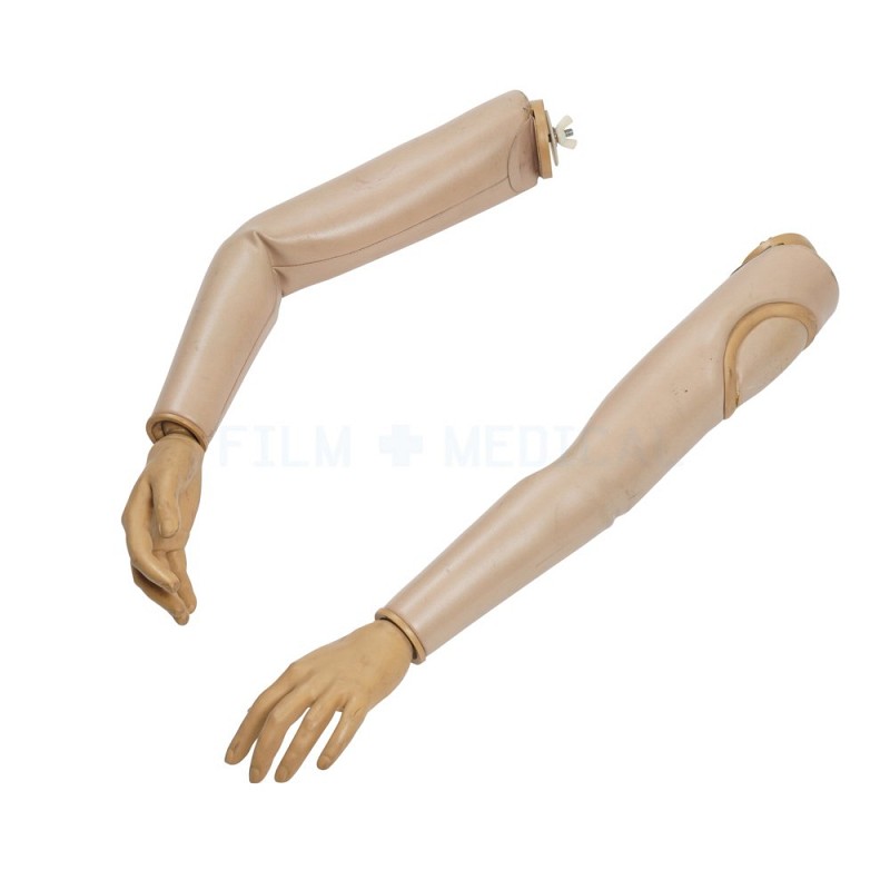Fake Adult Arms Pair | FILM MEDICAL