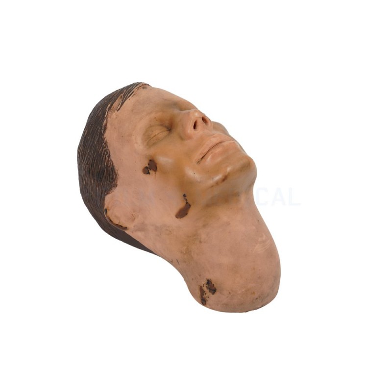 Fake Head | FILM MEDICAL